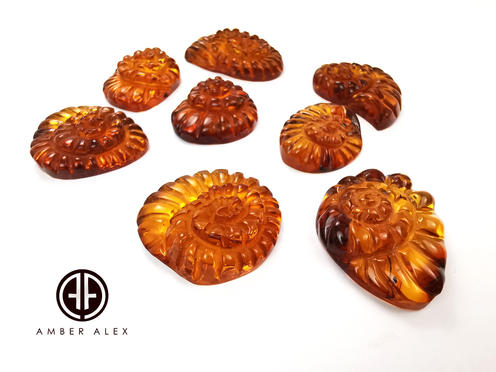 Cognac Amber Carved Ammonites Shell Cabochon – Amber Alex Jewelry