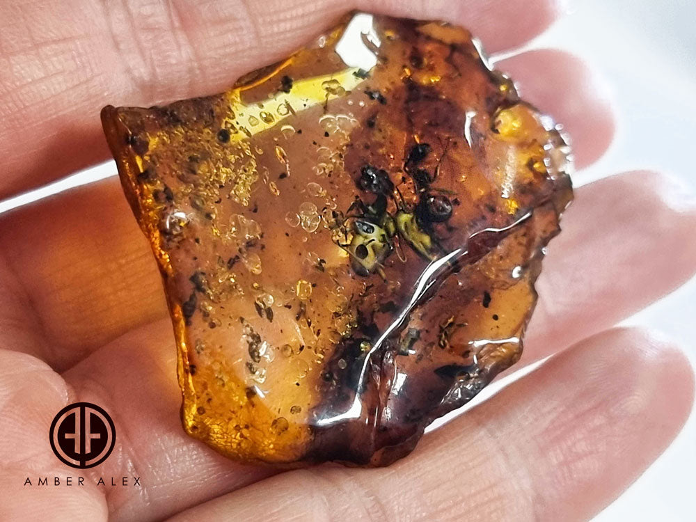 Natural Amber Slab Shape Stone With Insects – Amber Alex Jewelry