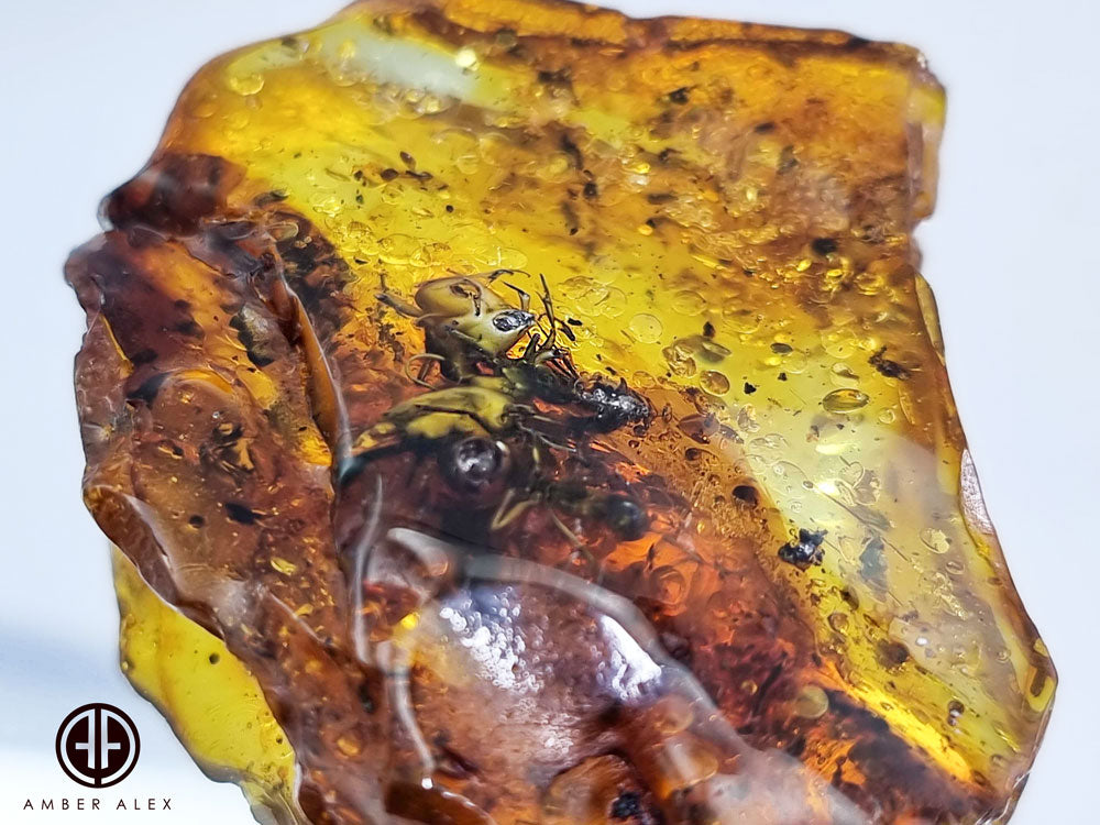 Natural Amber Slab Shape Stone With Insects – Amber Alex Jewelry