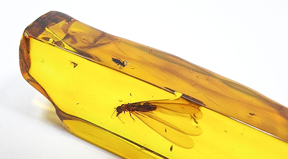 Natural Amber Rectangular Shape Stone With Insects – Amber Alex Jewelry