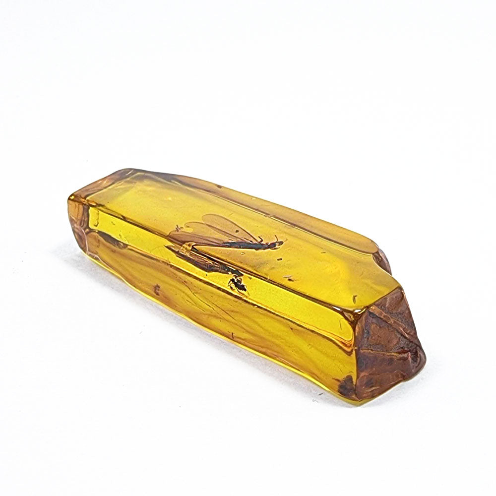 Natural Amber Rectangular Shape Stone With Insects – Amber Alex Jewelry